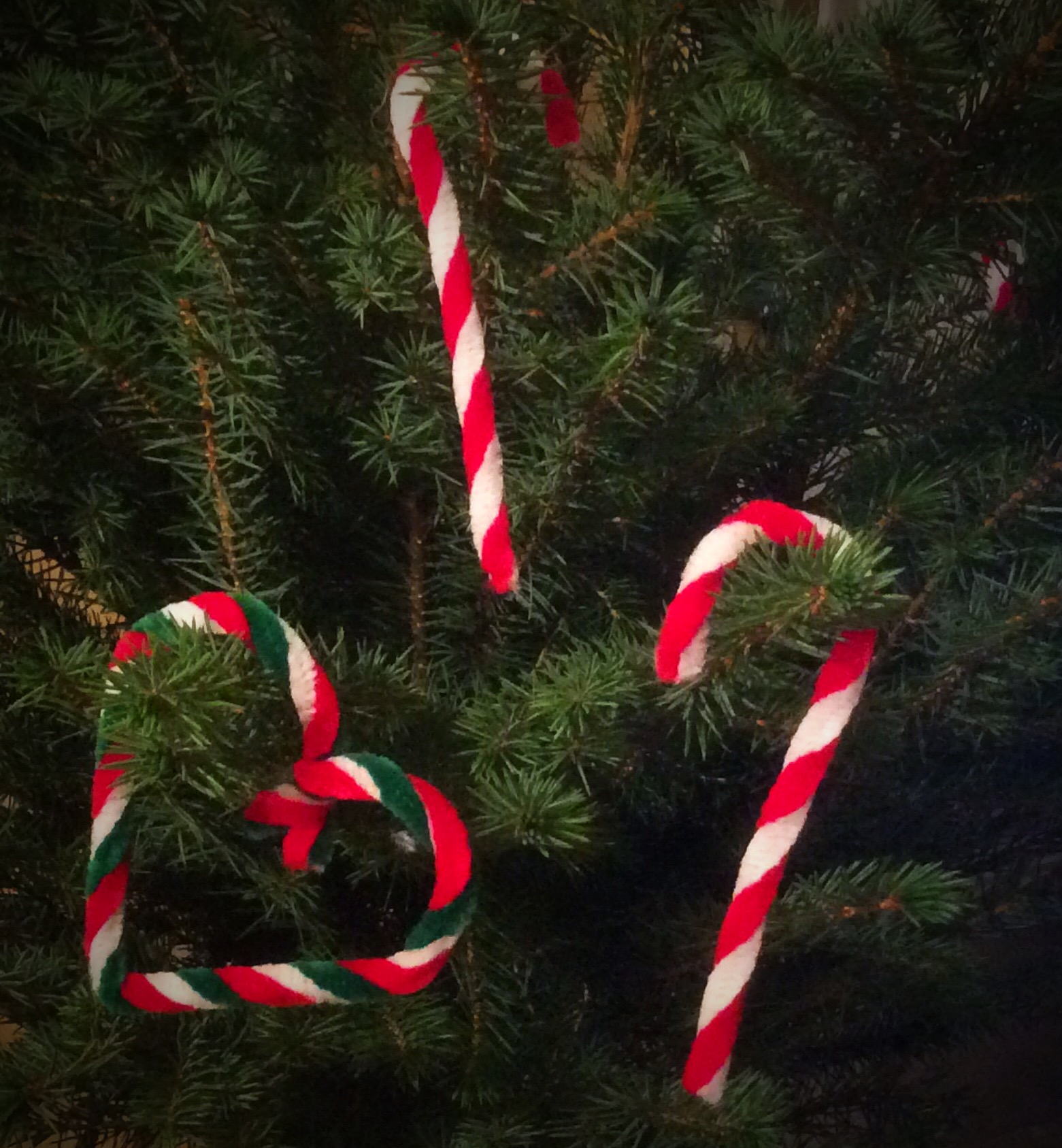 Stormy weather and pipe cleaners – Sensational Learning with Penguin