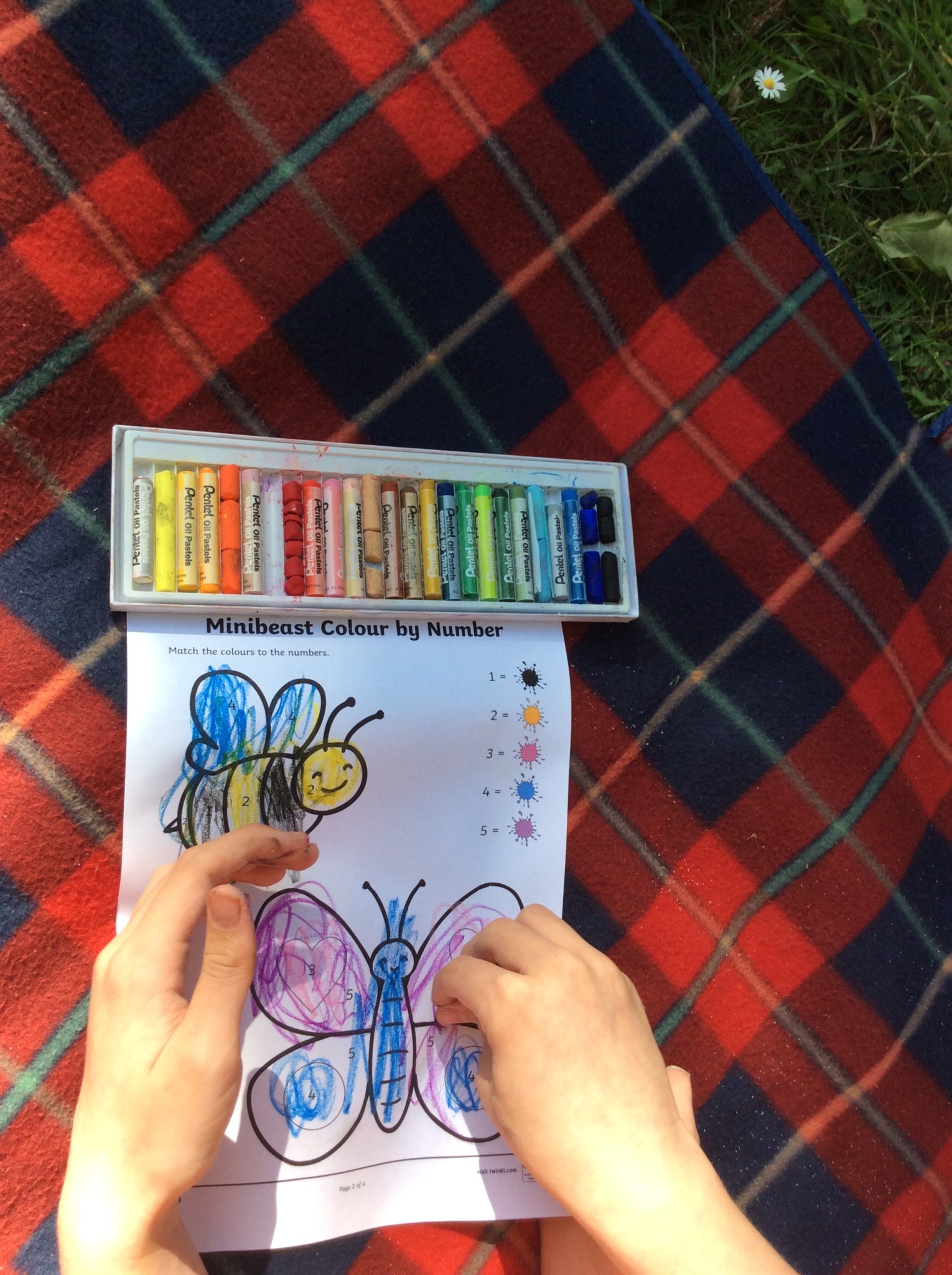 Exploring Nature With #30DaysWild, Part Three: Day 21-30 – Sensational ...