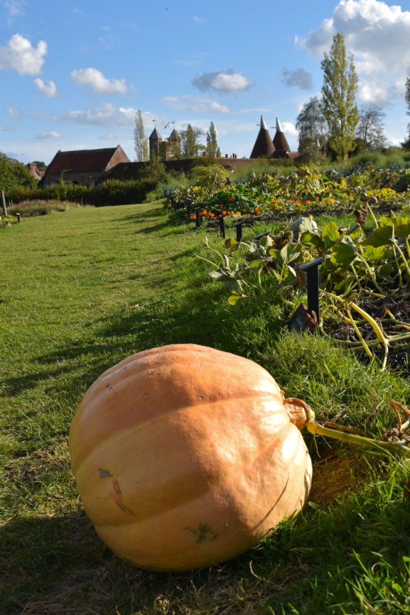 An October Visit to Sissinghurst Castle Garden – Sensational Learning ...