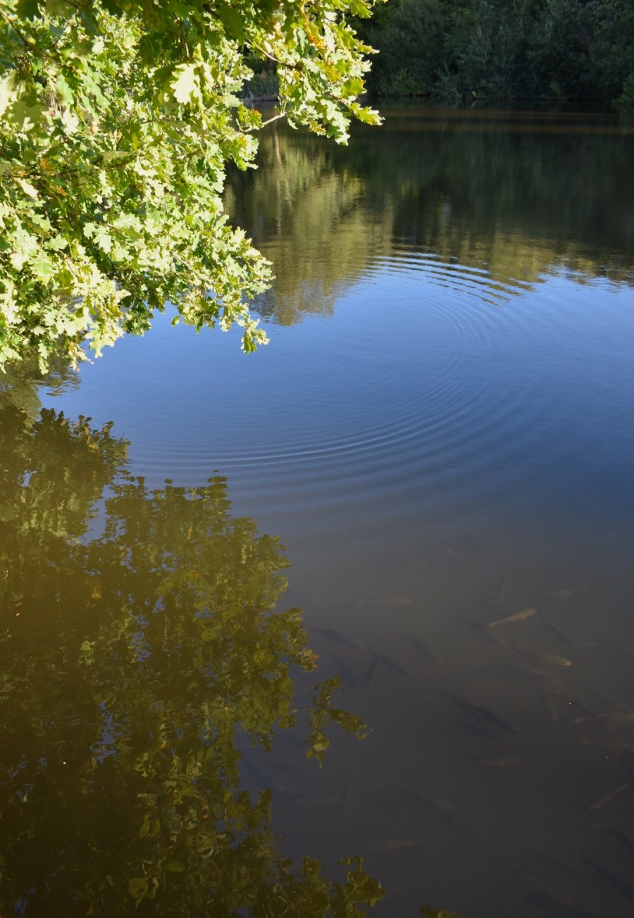 An October Visit to Sissinghurst Castle Garden – Sensational Learning ...