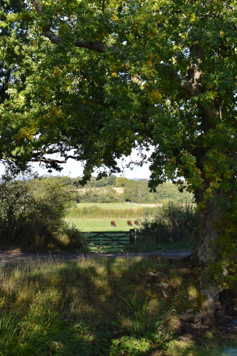An October Visit to Sissinghurst Castle Garden – Sensational Learning ...