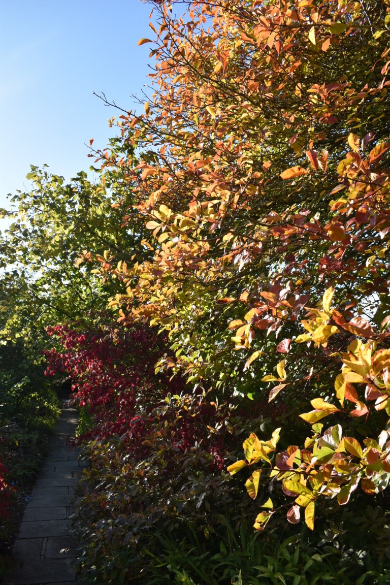An October Visit to Sissinghurst Castle Garden – Sensational Learning ...