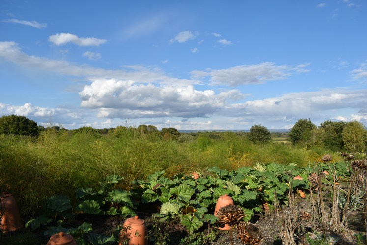 An October Visit to Sissinghurst Castle Garden – Sensational Learning ...